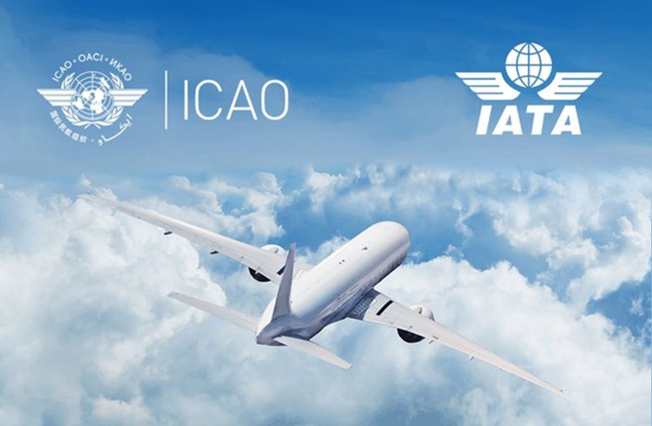 ICAO to Review IATA’s 14 Working Papers