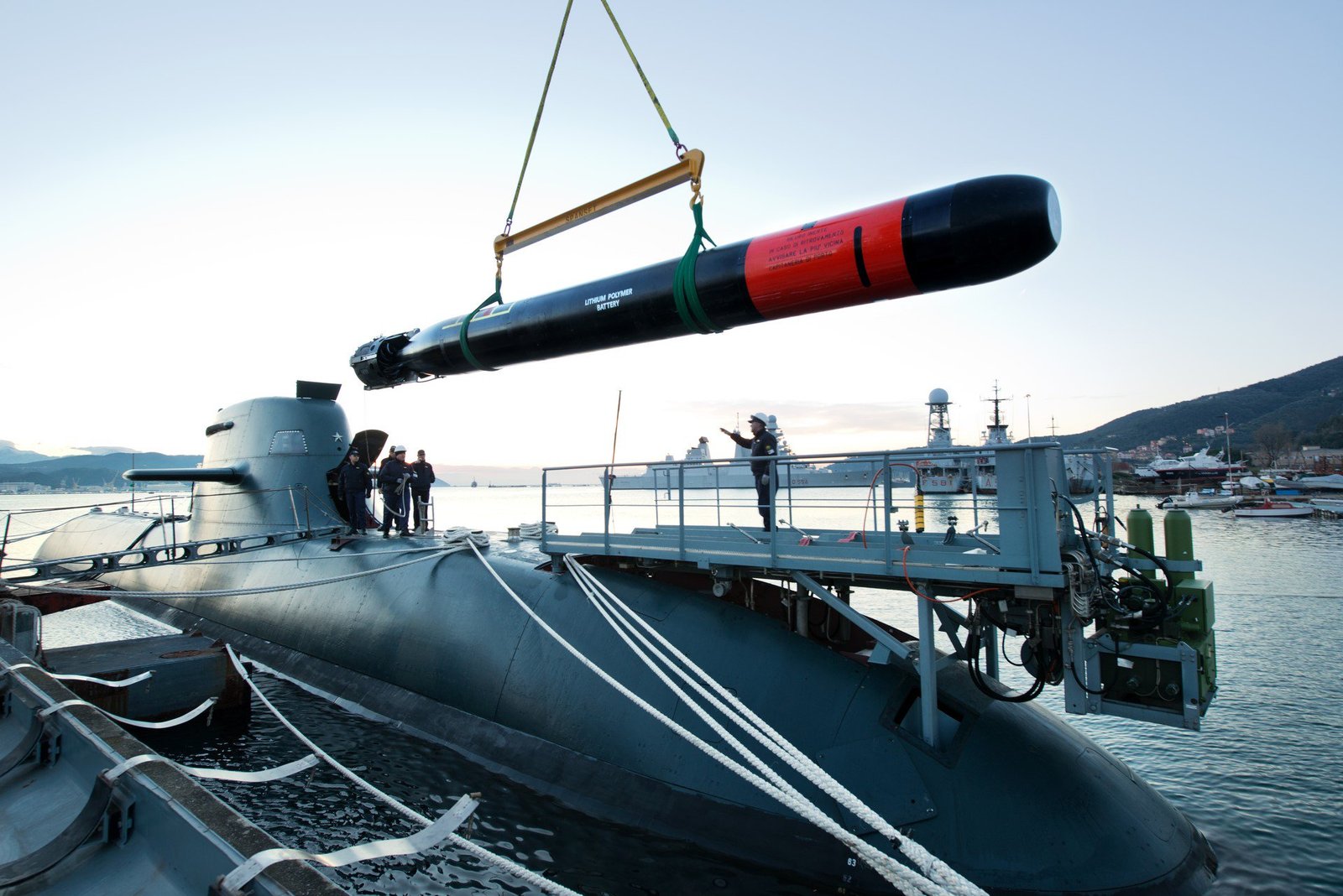 T he Italian Navy has selected Leonardo’s Black Shark Advanced (BSA ...